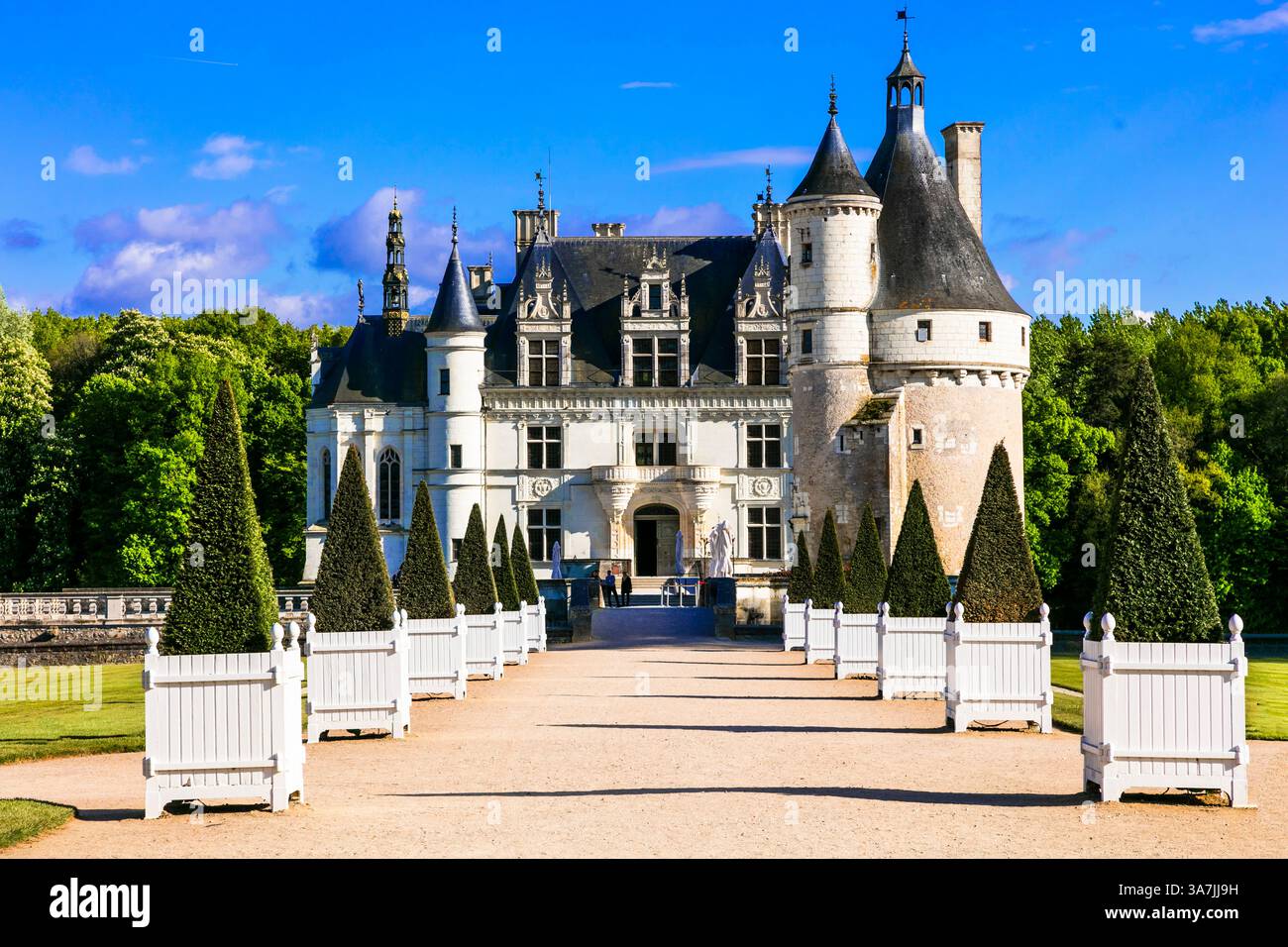 France, Loire valley castles. Elegant Chenonceau chateau . Most ...