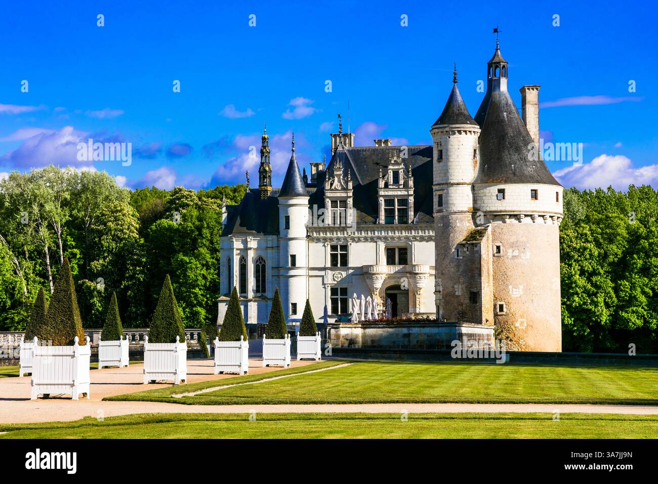 France, Loire valley castles. Elegant Chenonceau chateau . Most ...