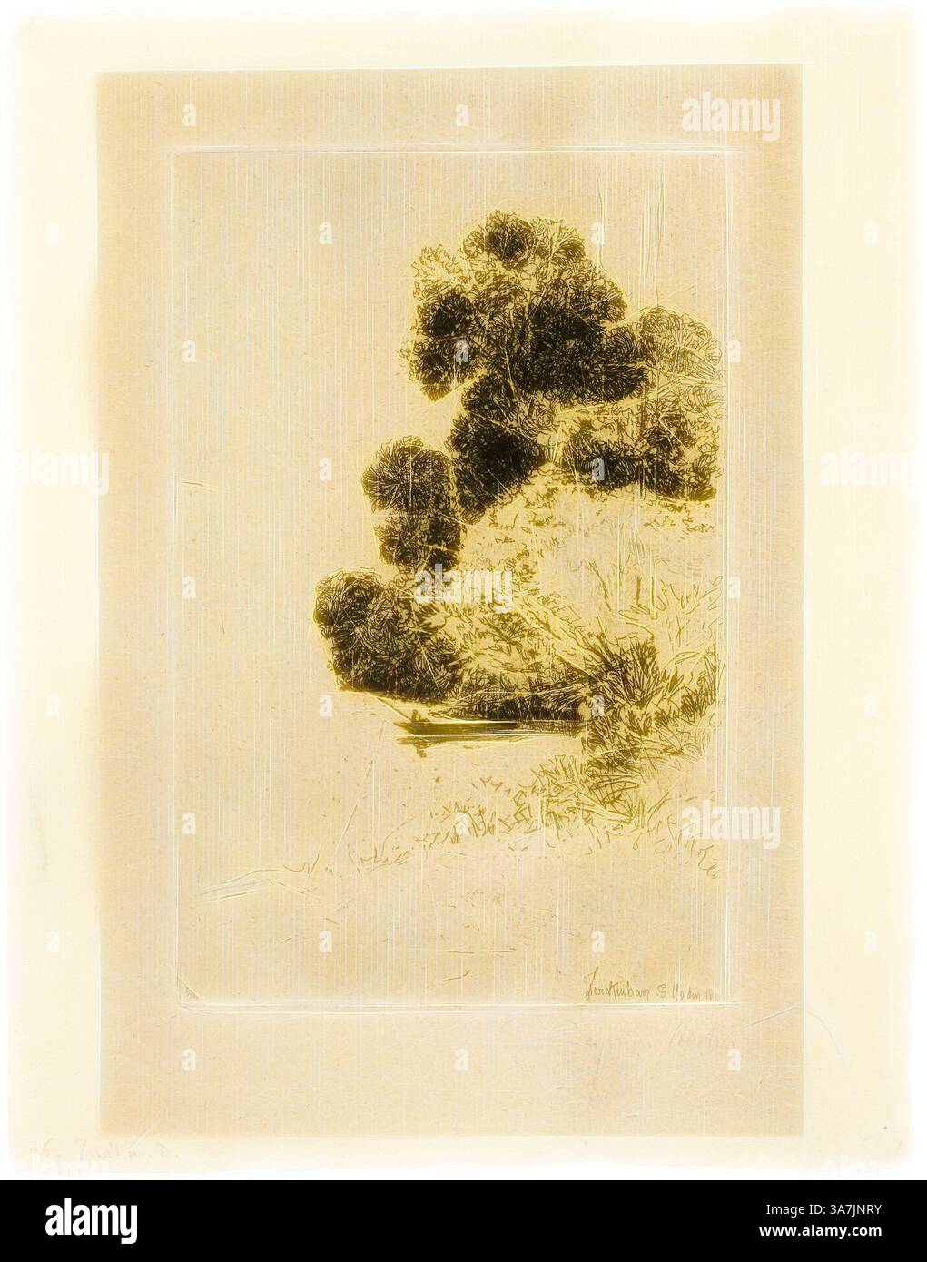 A serene landscape featuring a cluster of trees along a water's edge ...