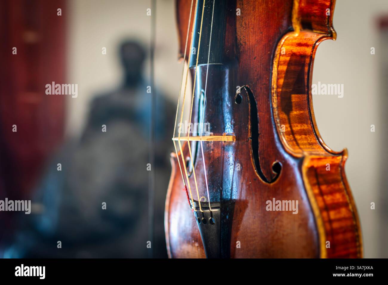 The great violinist Niccolò Paganini used to call his violin Cannon ...