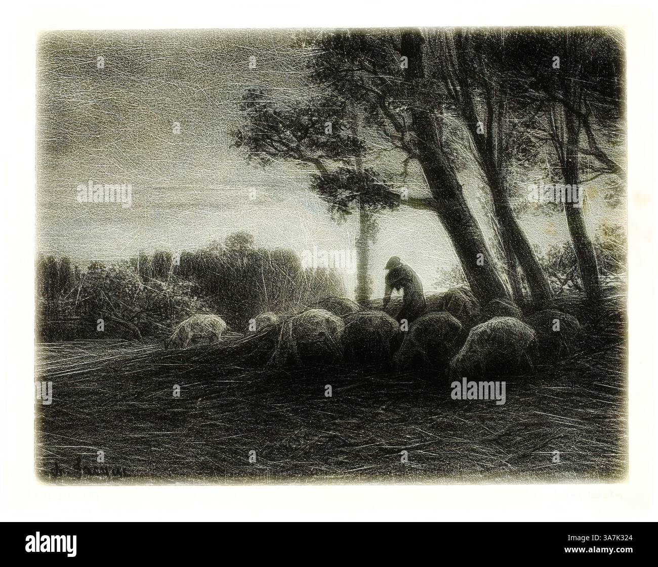 Poetic light Cut Out Stock Images & Pictures - Alamy