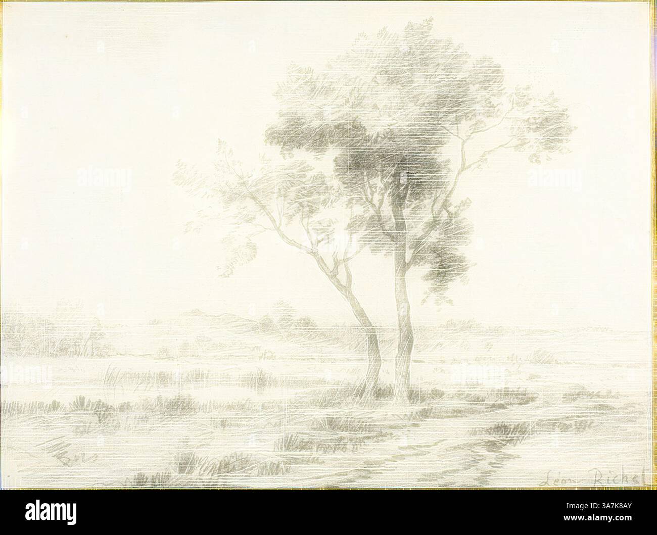 Serene landscape features two slender trees hi-res stock photography ...