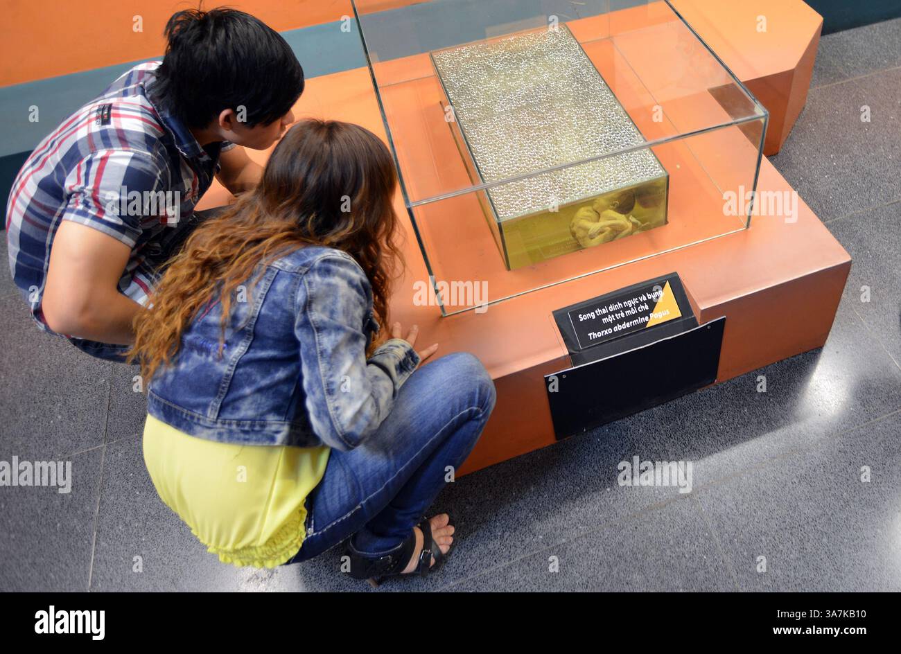 Dec. 23, 2012 - Ho Chi Minh City, Vietnam - Visitors look at fetuses ...