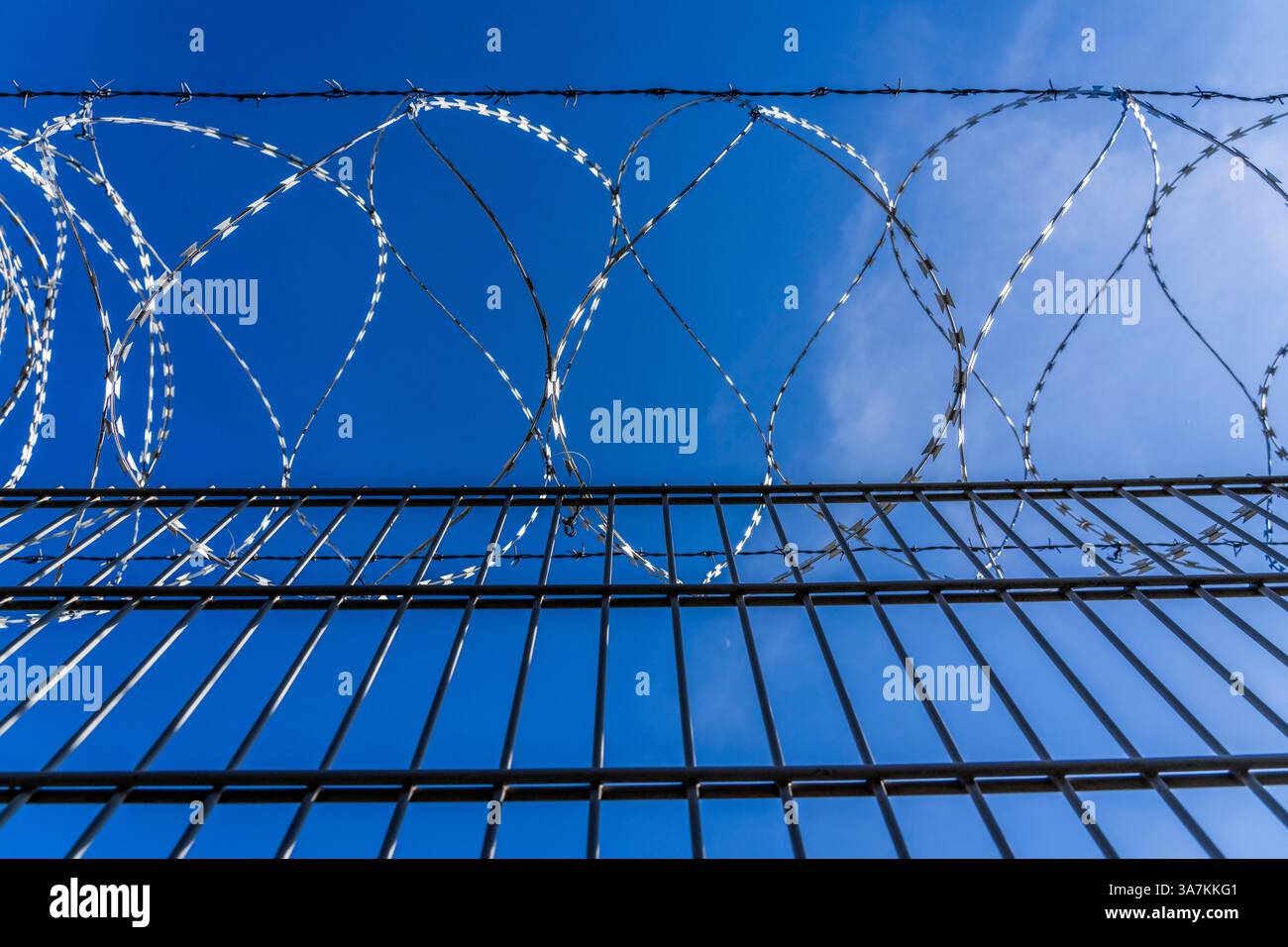 Symbolic image of security, S-wire coils, NATO wire, on a fence crown ...