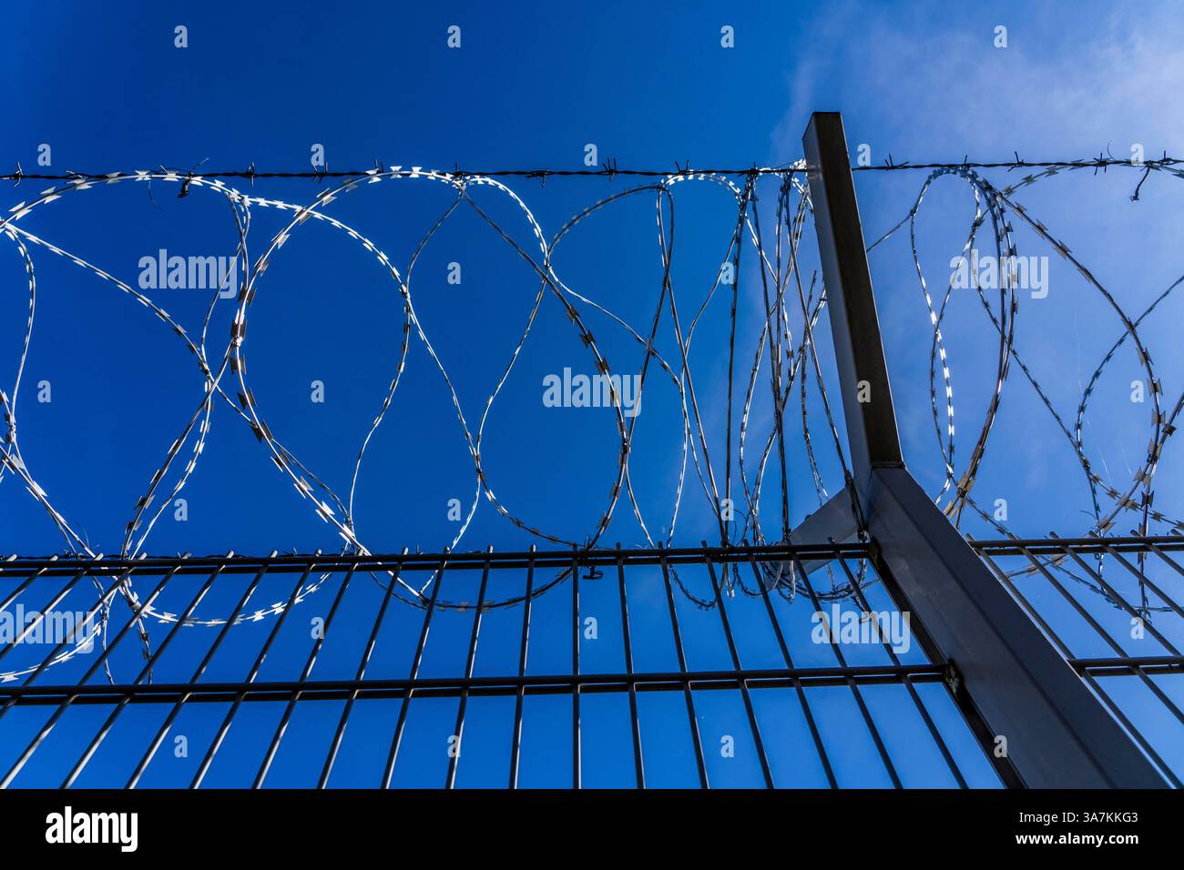 Symbolic image of security, S-wire coils, NATO wire, on a fence crown ...