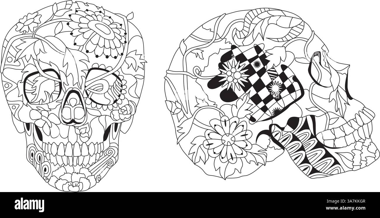 Two skulls side view and front view with floral ornament illustration ...