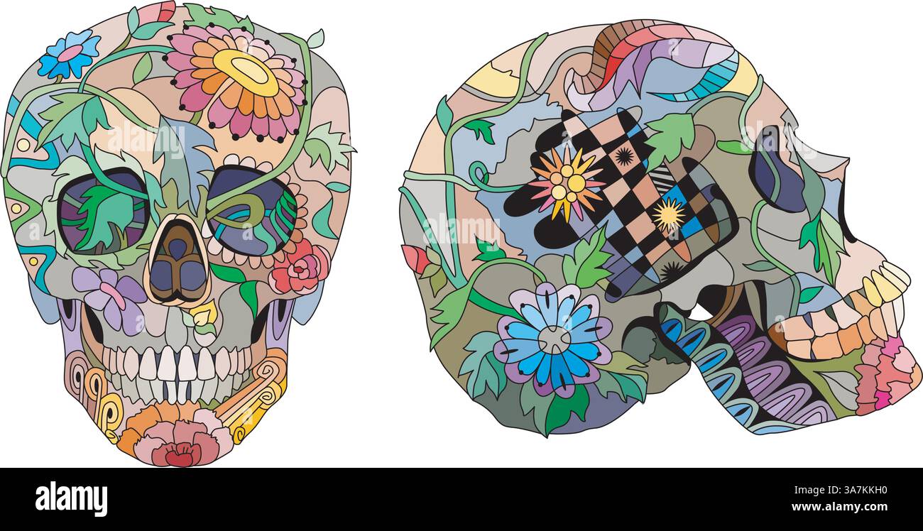 Two skulls side view and front view with floral ornament illustration ...