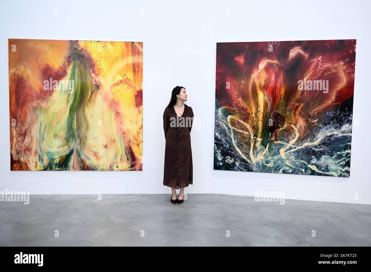 Newport Street Gallery presents Raging planet . a group exhibition of ...