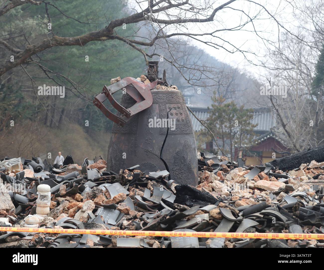 Gyeongsang. 27th Mar, 2025. This photo taken on March 27, 2025 shows an ...
