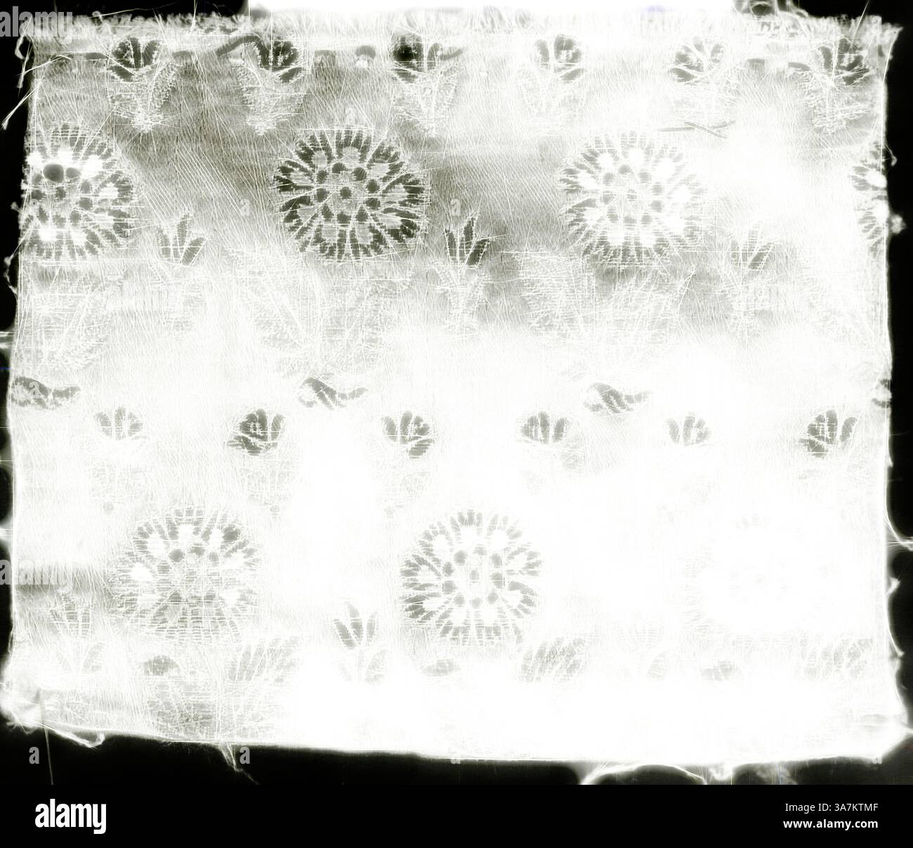 A delicate textile featuring intricate floral patterns, showcasing a ...