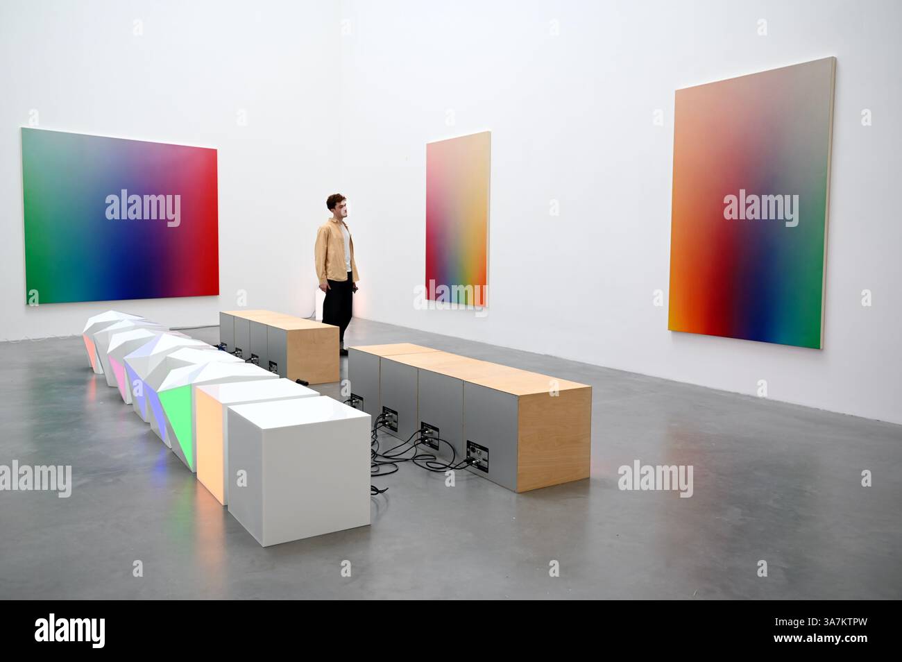 Newport Street Gallery presents Raging planet . a group exhibition of ...