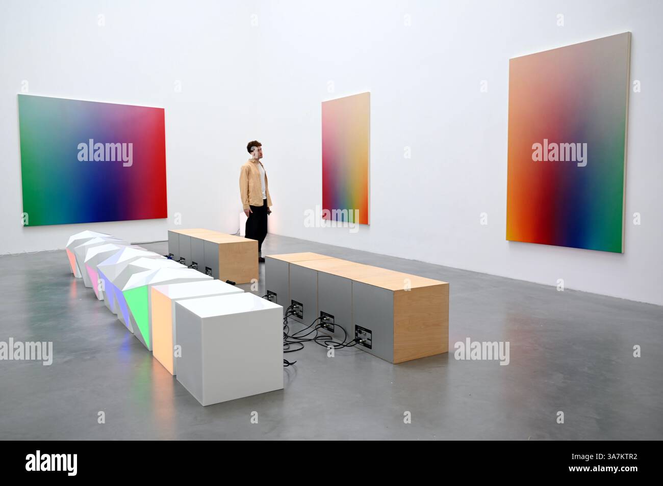 Newport Street Gallery presents Raging planet . a group exhibition of ...