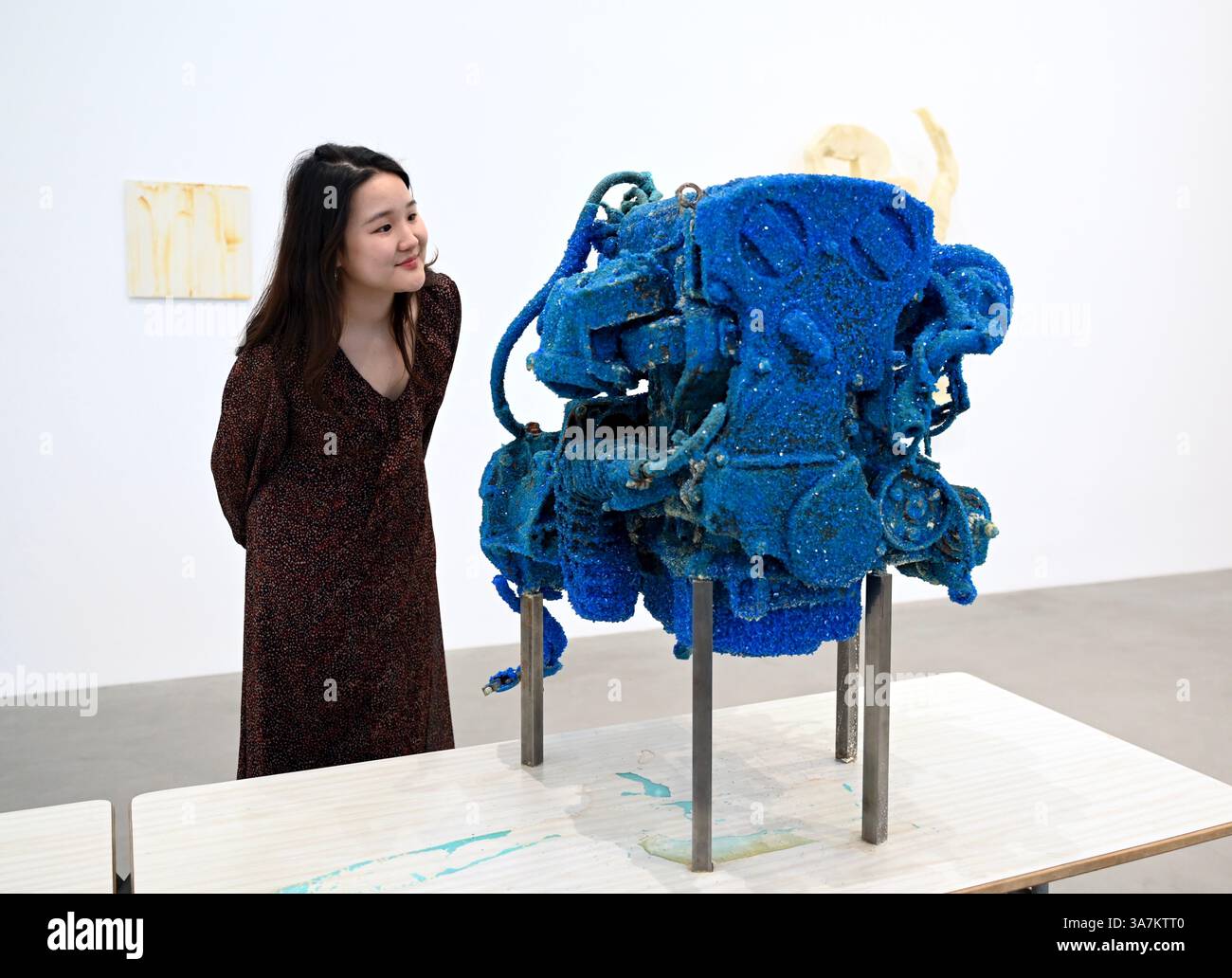 Newport Street Gallery presents Raging planet . a group exhibition of ...