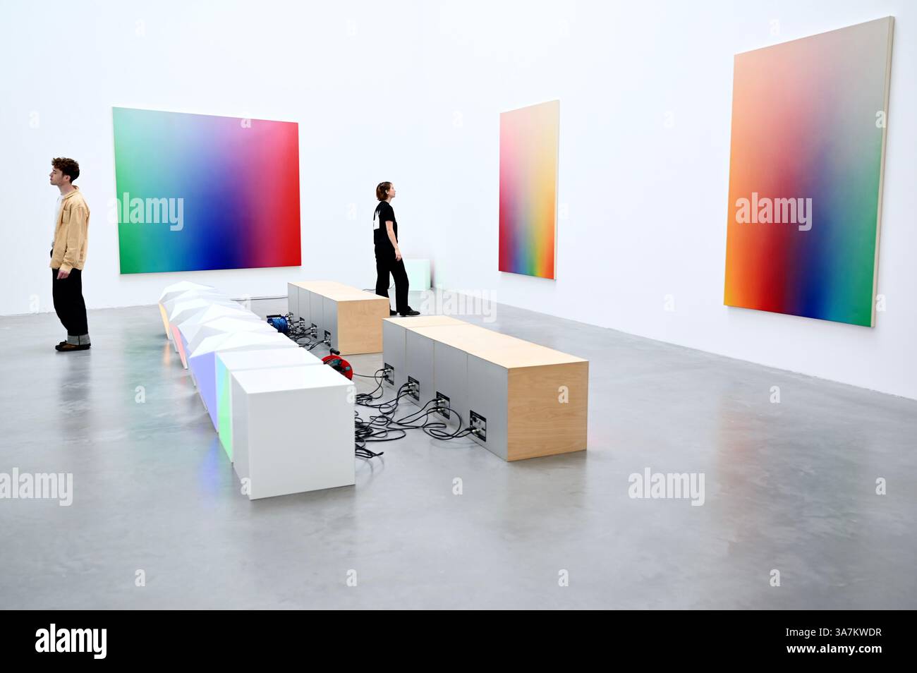 Newport Street Gallery presents Raging planet . a group exhibition of ...