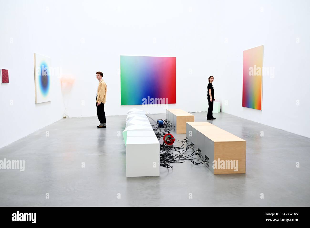 Newport Street Gallery presents Raging planet . a group exhibition of ...