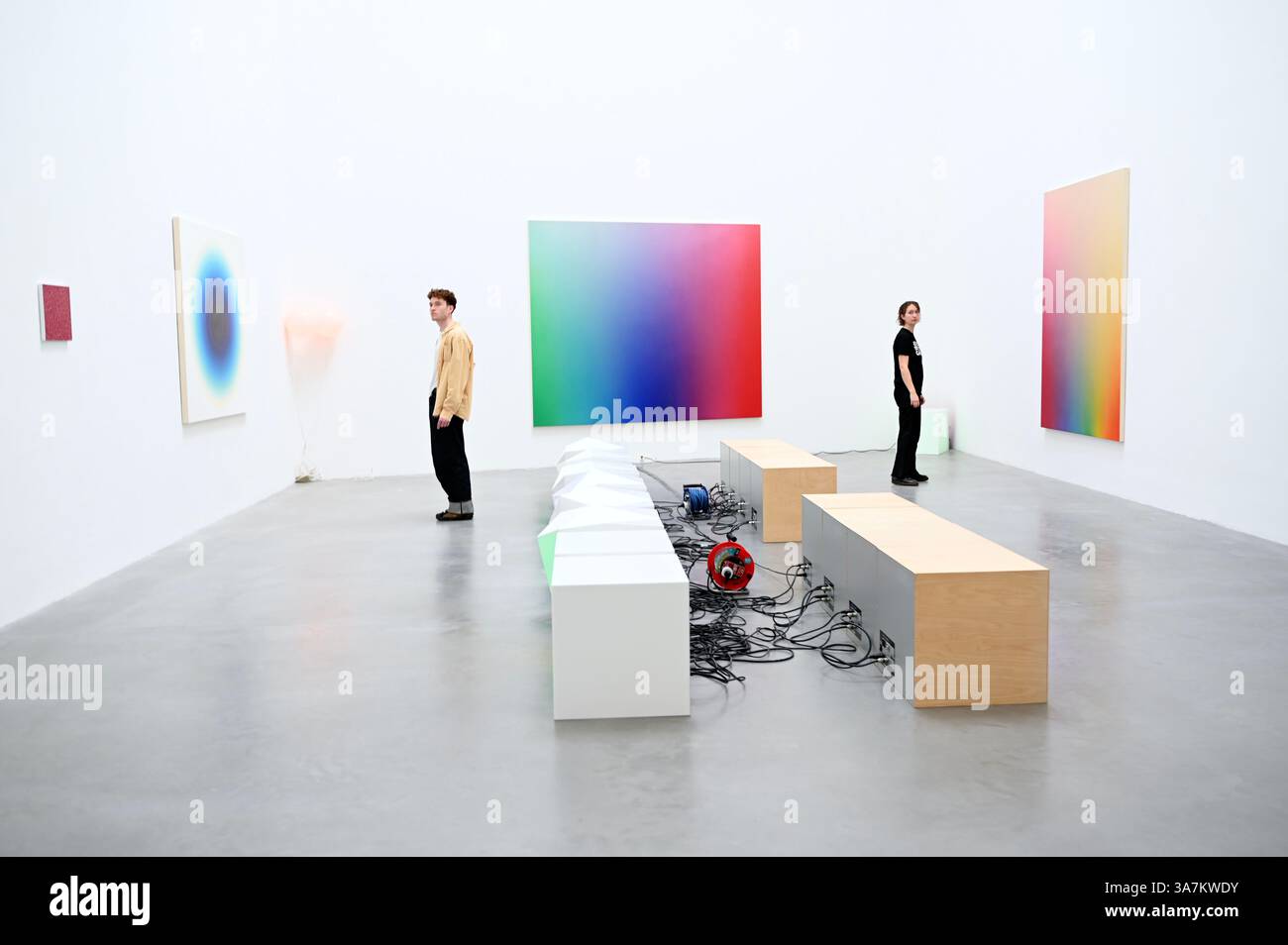 Newport Street Gallery presents Raging planet . a group exhibition of ...