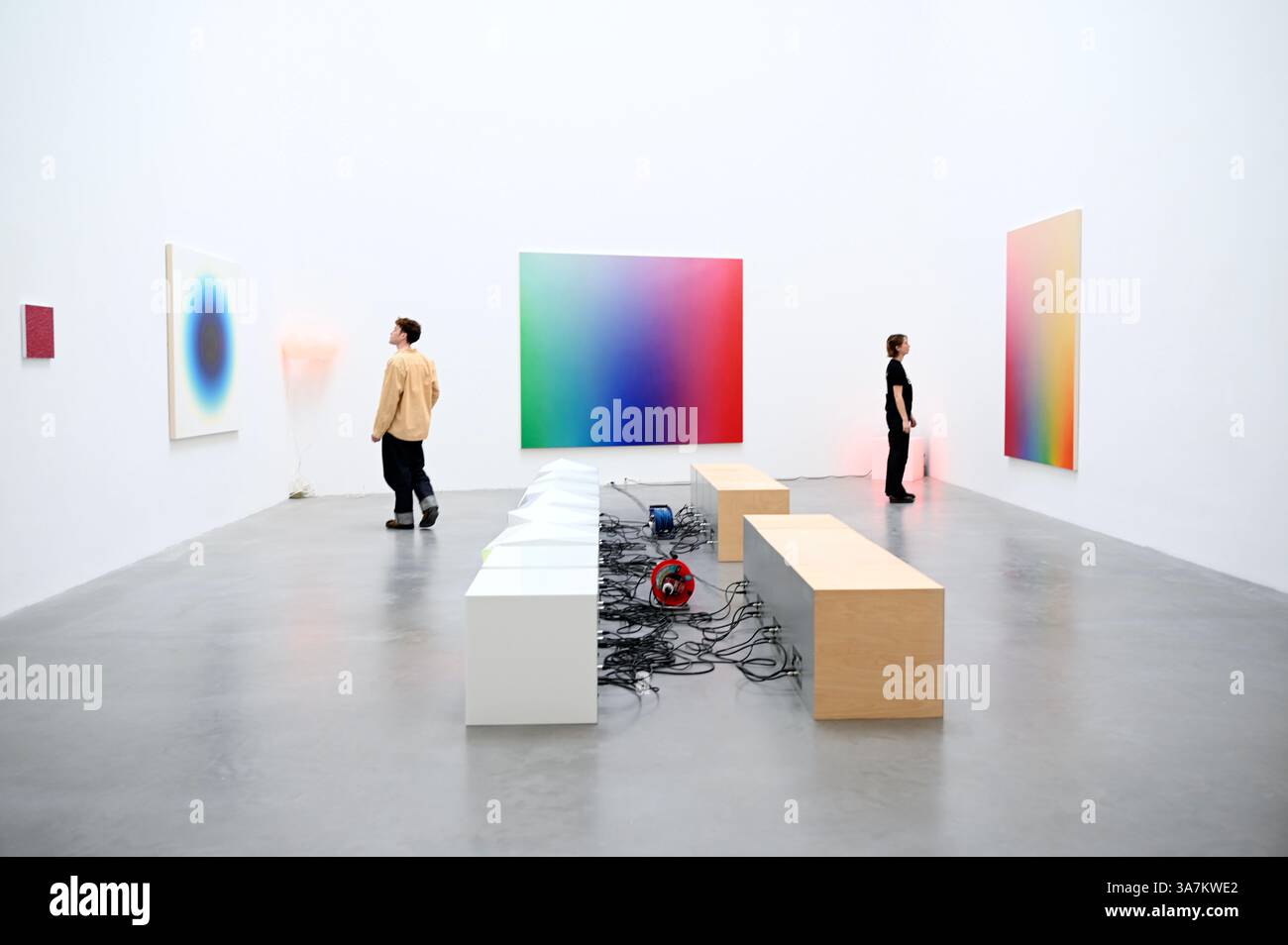 Newport Street Gallery presents Raging planet . a group exhibition of ...