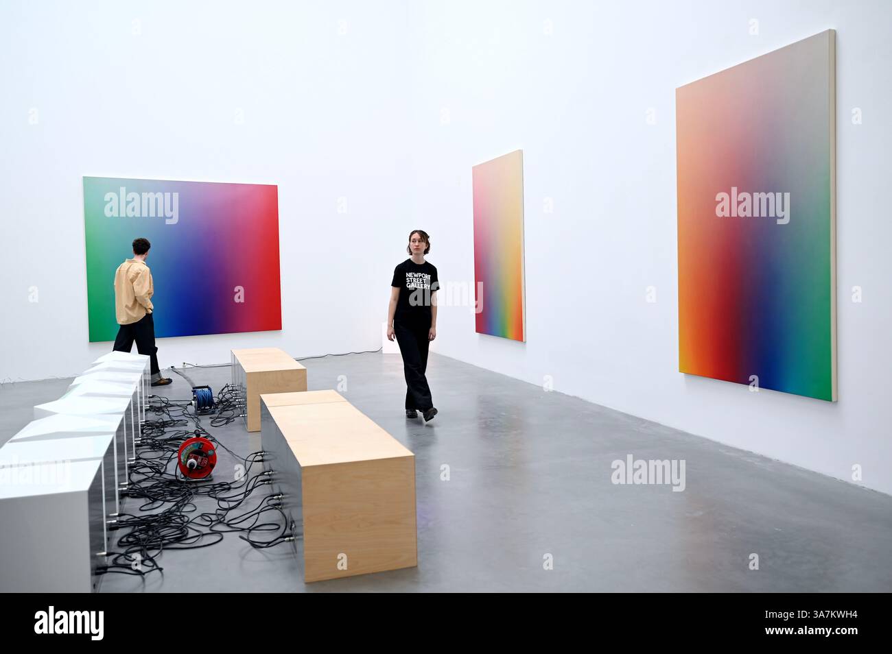 Newport Street Gallery presents Raging planet . a group exhibition of ...