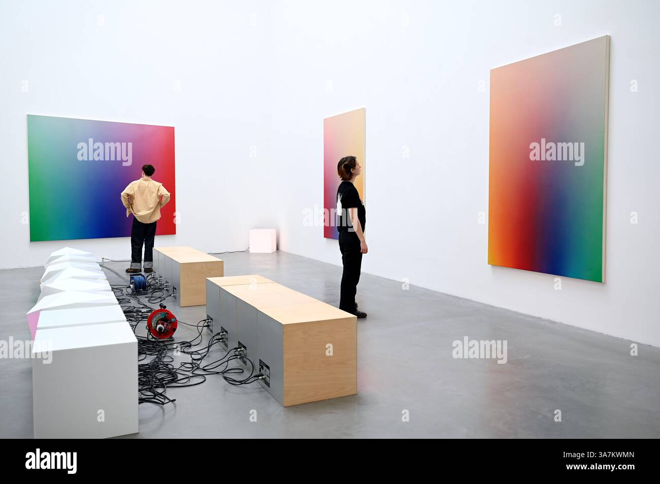 Newport Street Gallery presents Raging planet . a group exhibition of ...