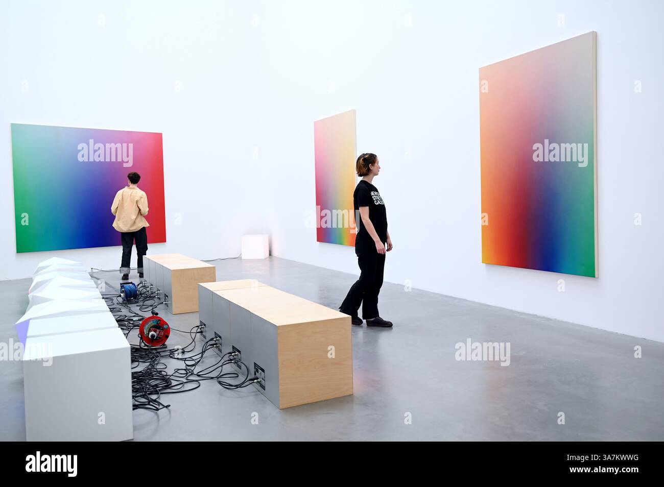 Newport Street Gallery presents Raging planet . a group exhibition of ...