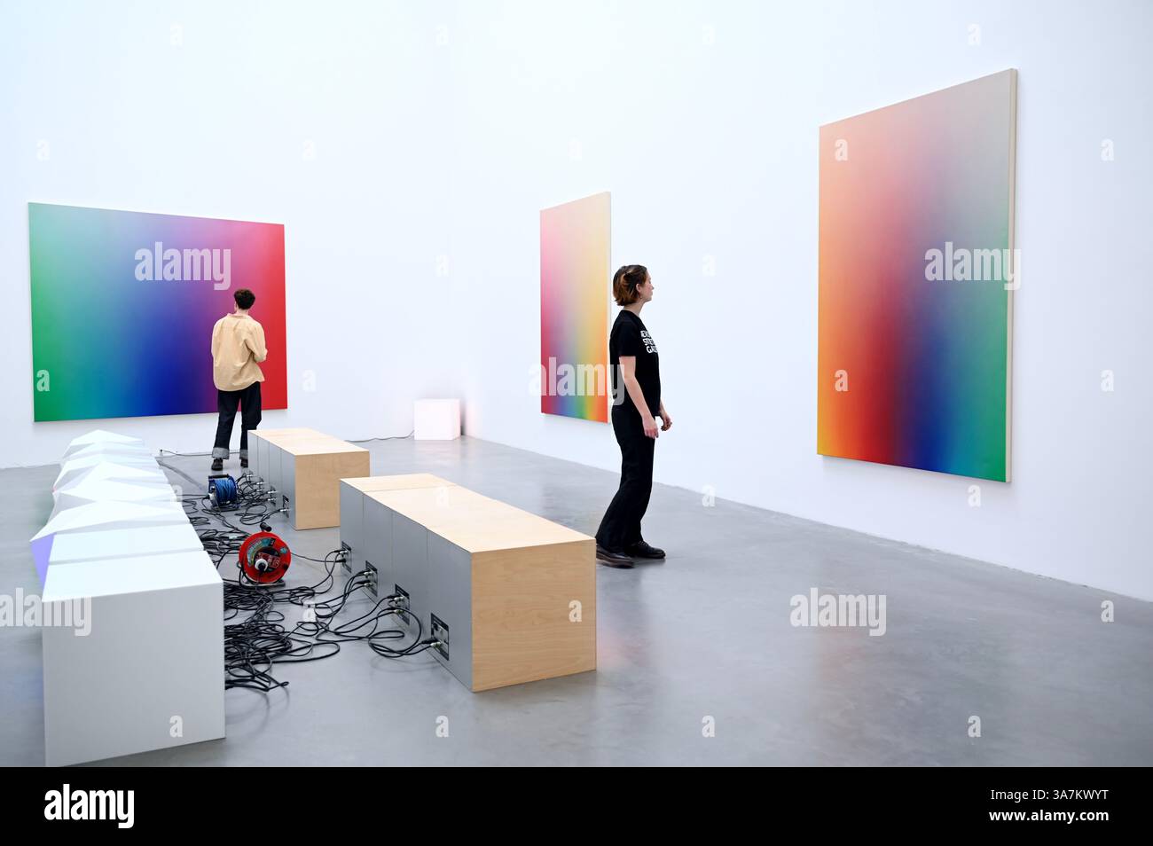 Newport Street Gallery presents Raging planet . a group exhibition of ...