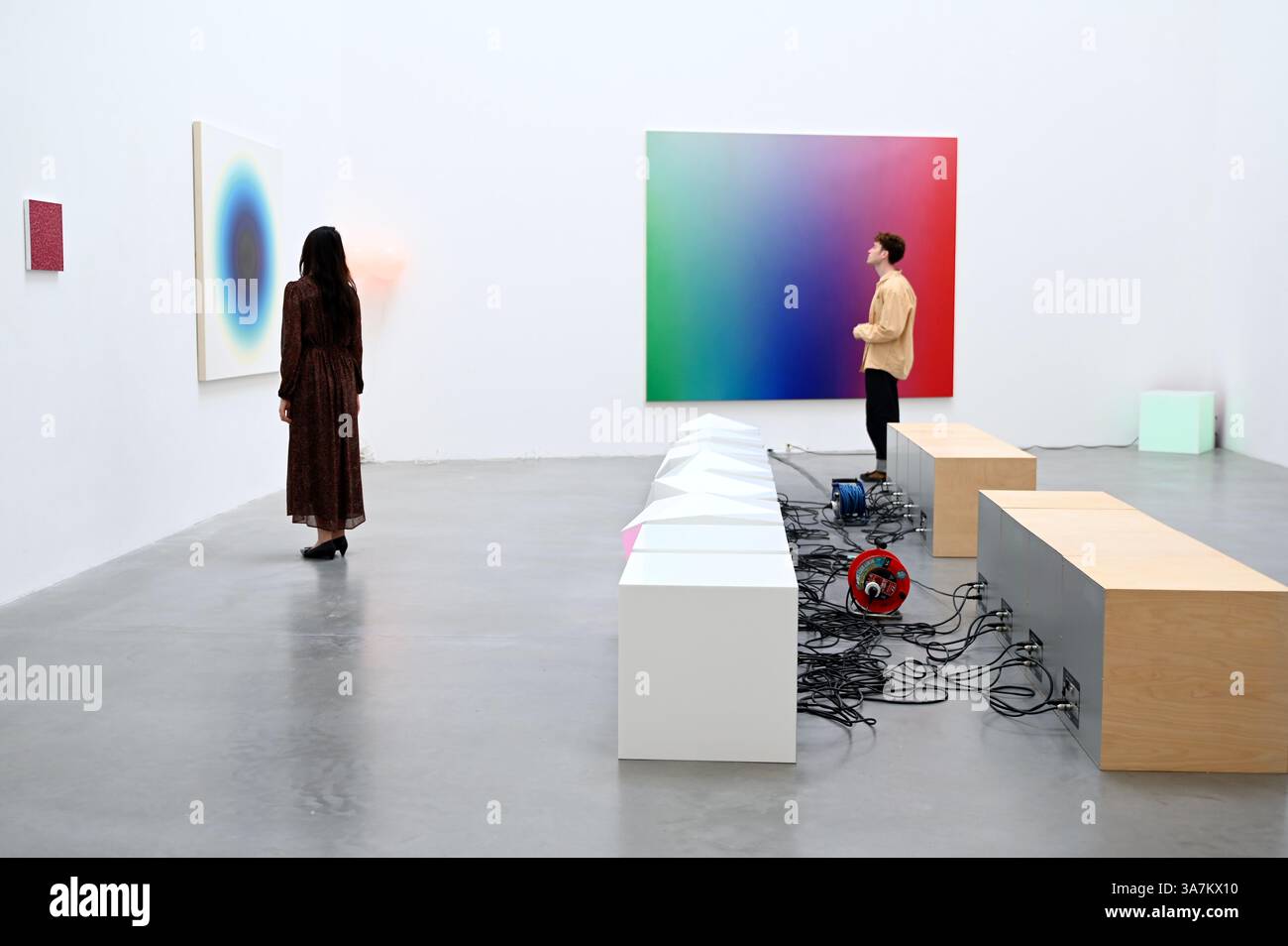 Newport Street Gallery presents Raging planet . a group exhibition of ...