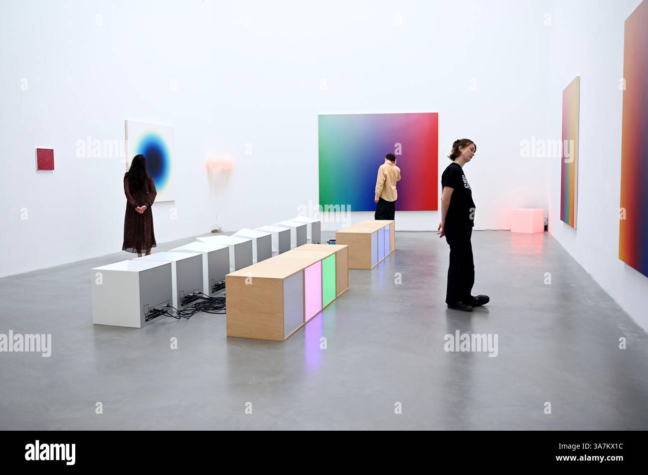 Newport Street Gallery presents Raging planet . a group exhibition of ...