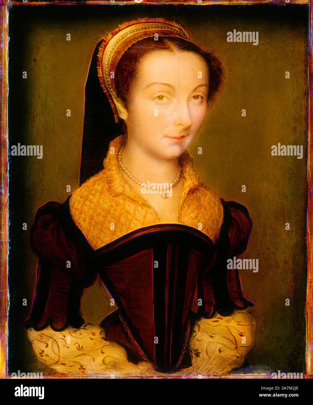 A poised woman in Renaissance attire, featuring a richly textured dress ...