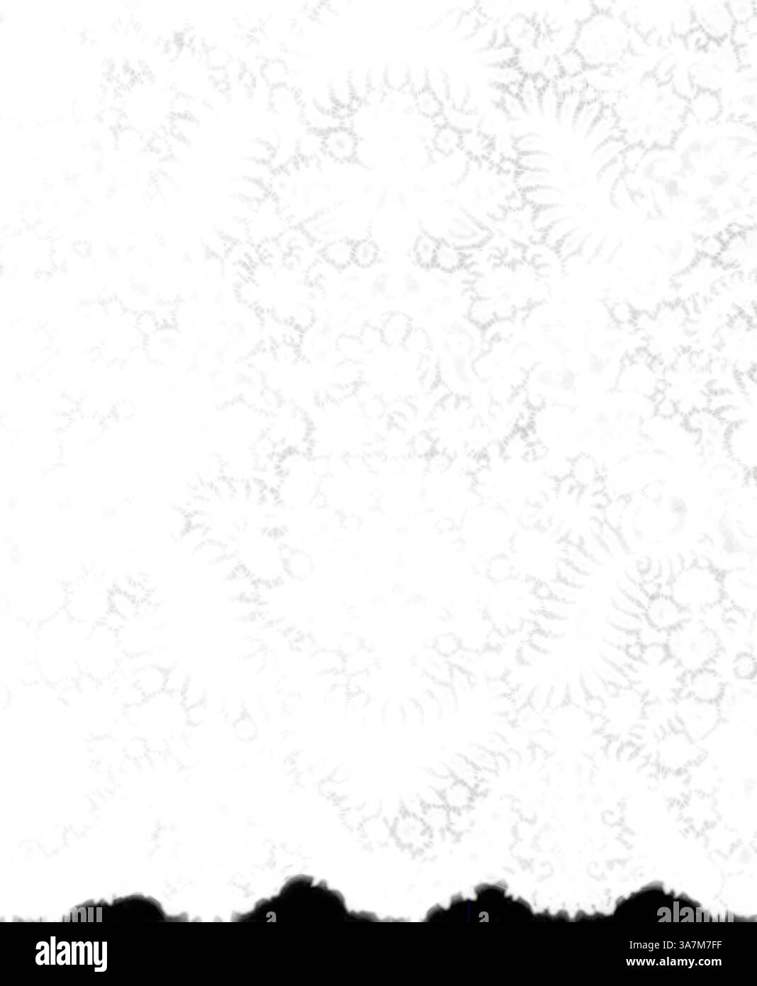 Contrasting darker border framing hi-res stock photography and images ...