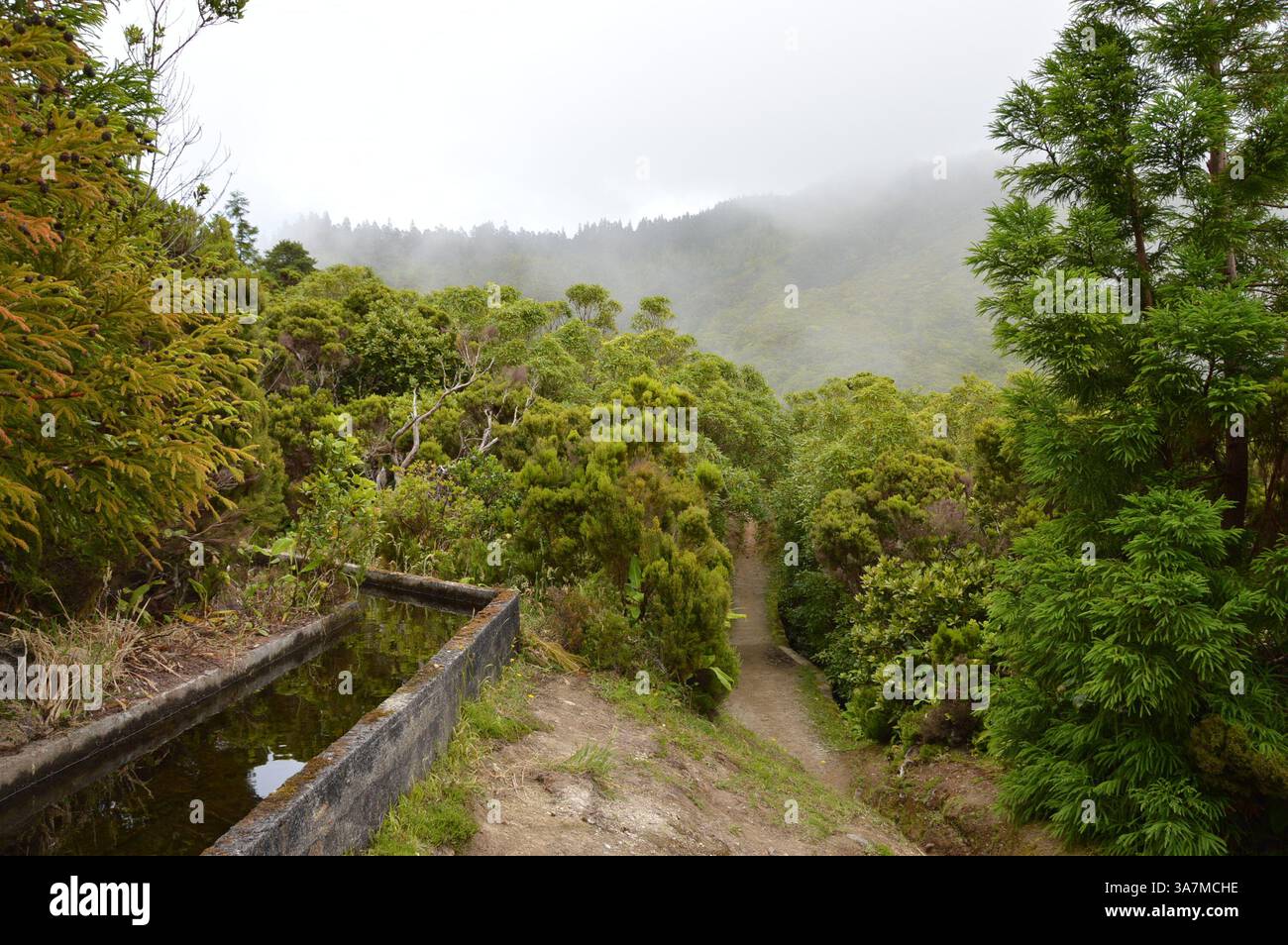 hiking the Rota da agua on the Azores with an aqueduct next to the ...