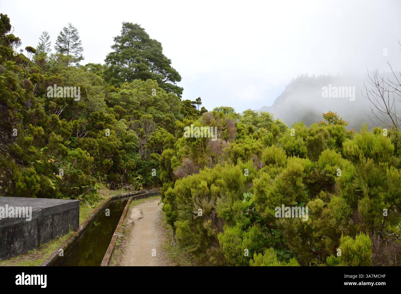 hiking the Rota da agua on the Azores with an aqueduct next to the ...