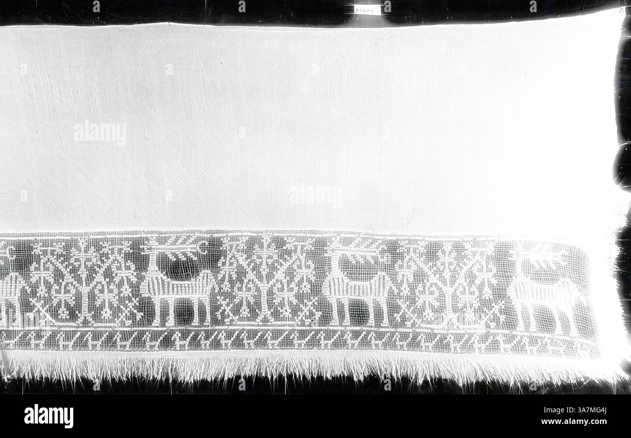 A delicate textile featuring an intricate border design with stylized ...