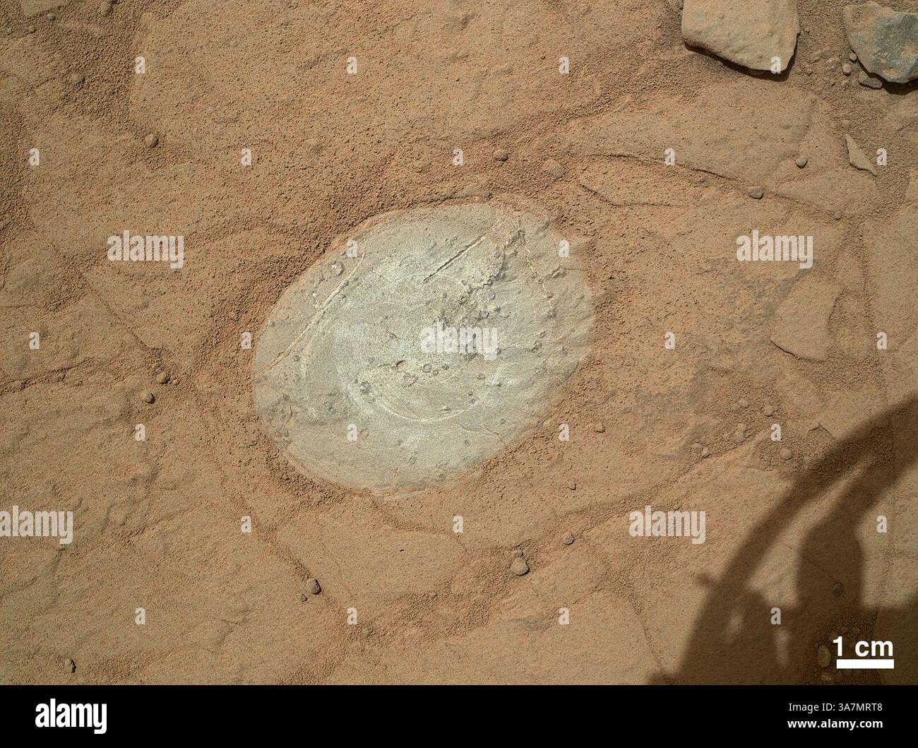 Drt brush hi-res stock photography and images - Alamy