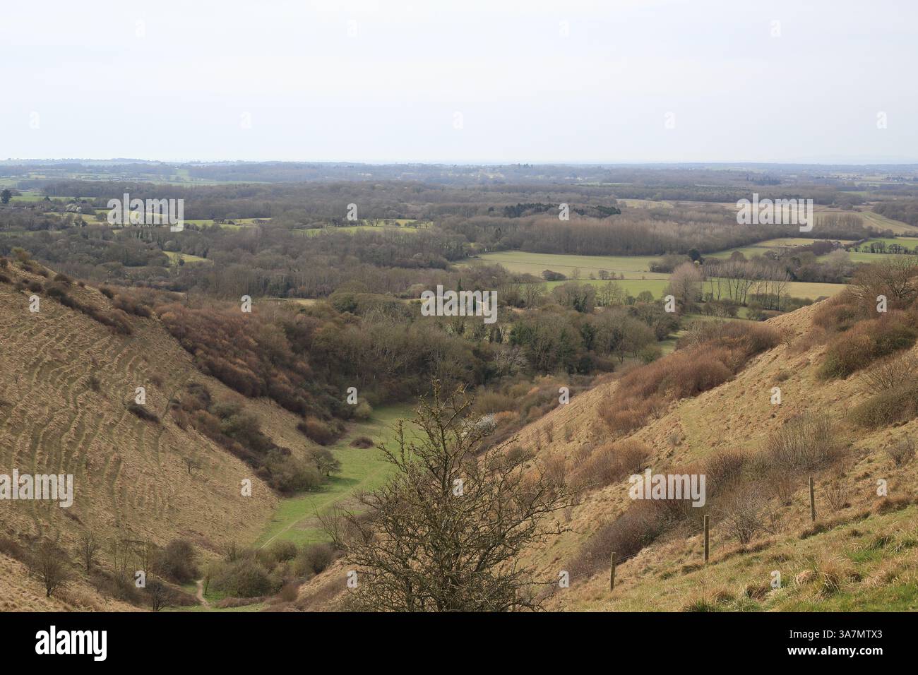 The Devil's Kneading Trough (a steep sided dry valley called a coombe) on Wye Downs, Wye ...