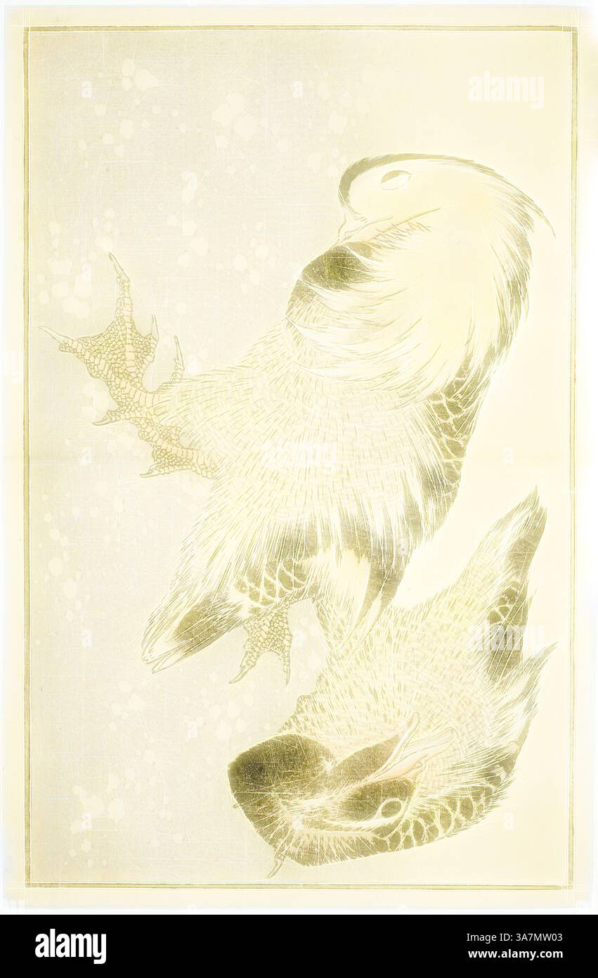 A dynamic depiction of two stylized birds intertwined, showcasing ...