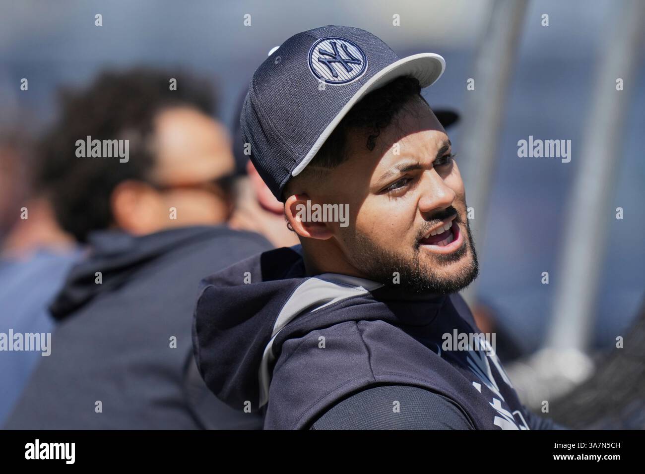 New York Yankees' Jasson Domínguez sports a beard during batting ...