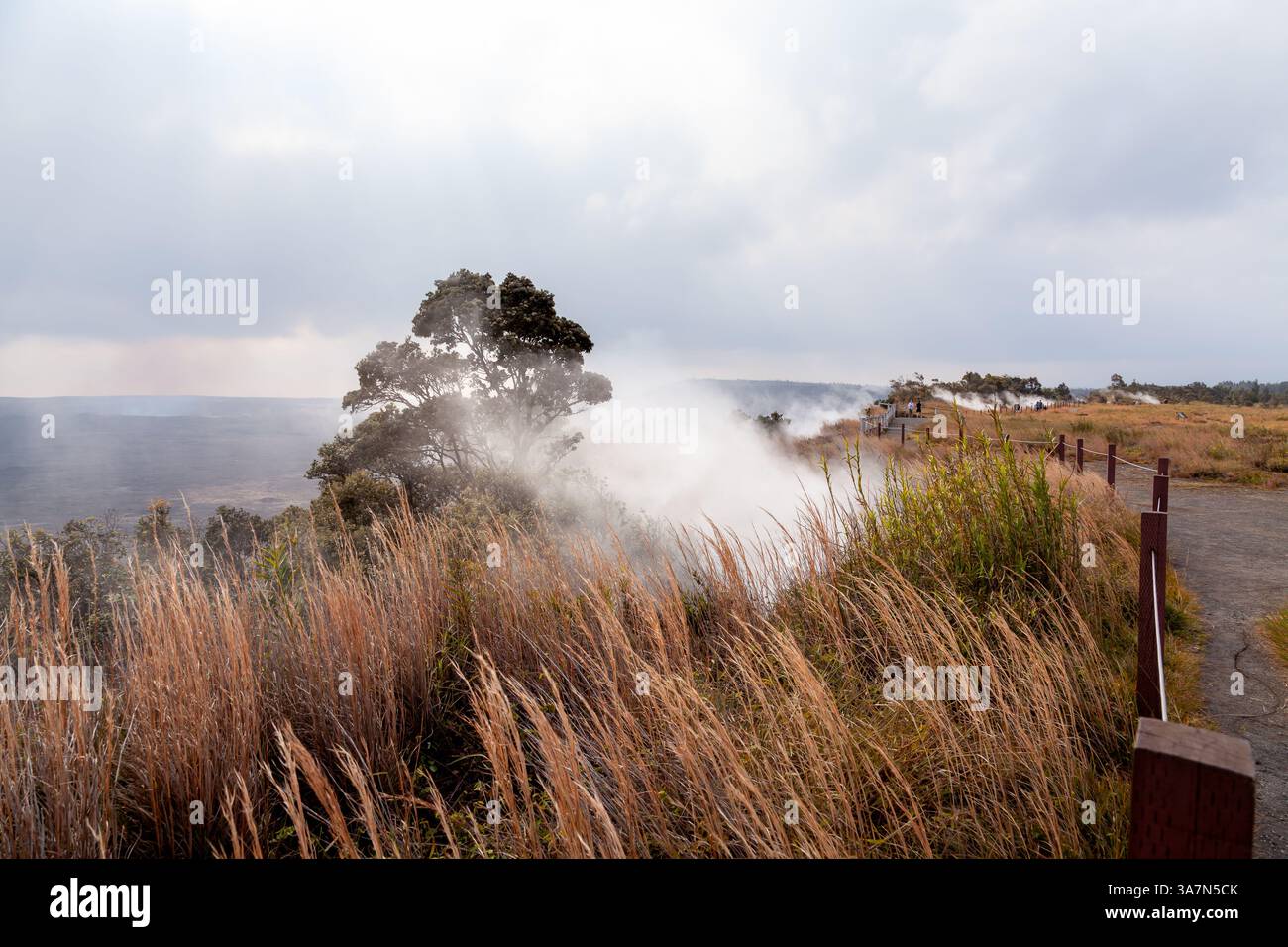 Steam rises from volcanic vents hi-res stock photography and images - Alamy