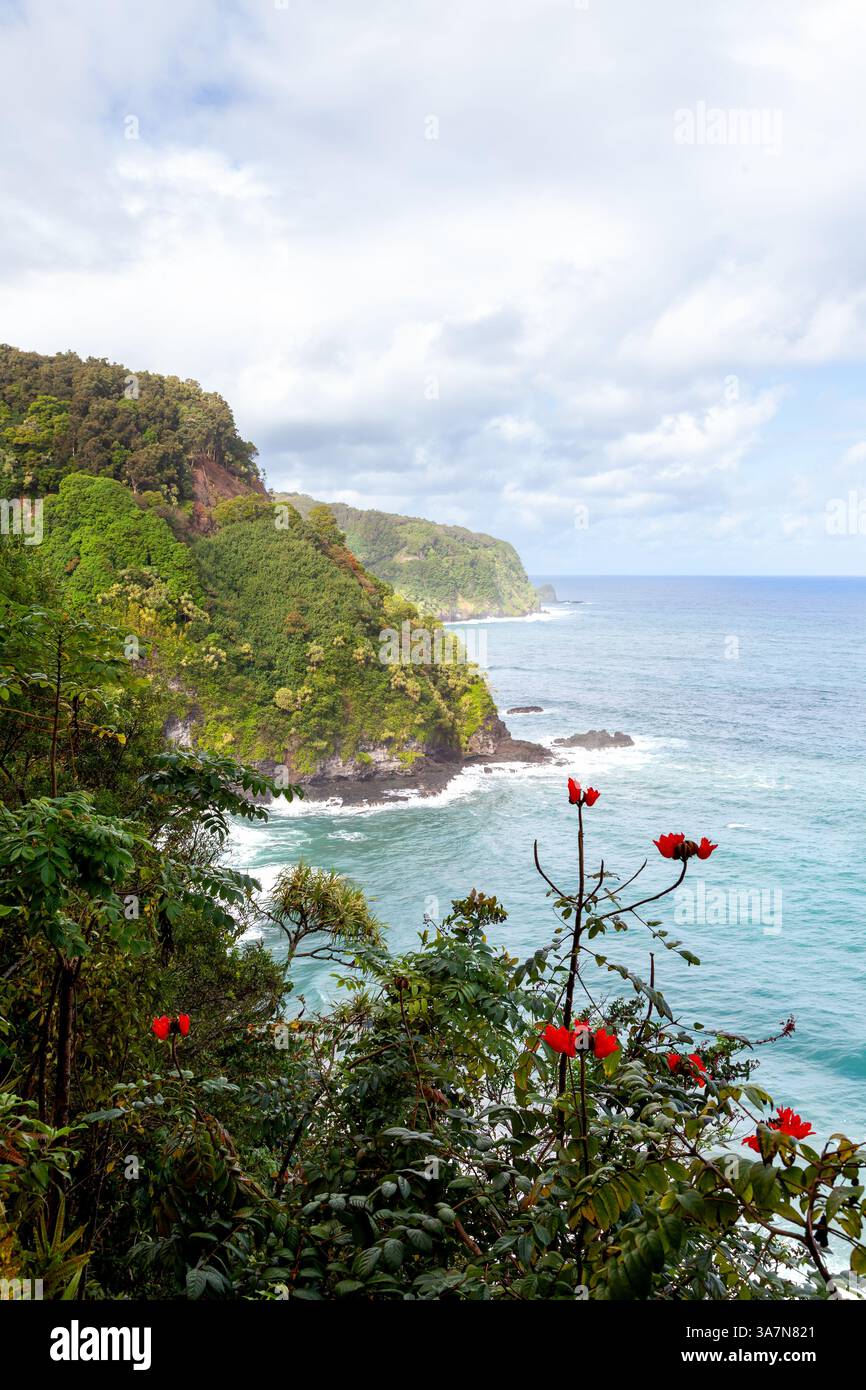 Lush greenery, colorful flowers, and dramatic cliffs define the ...