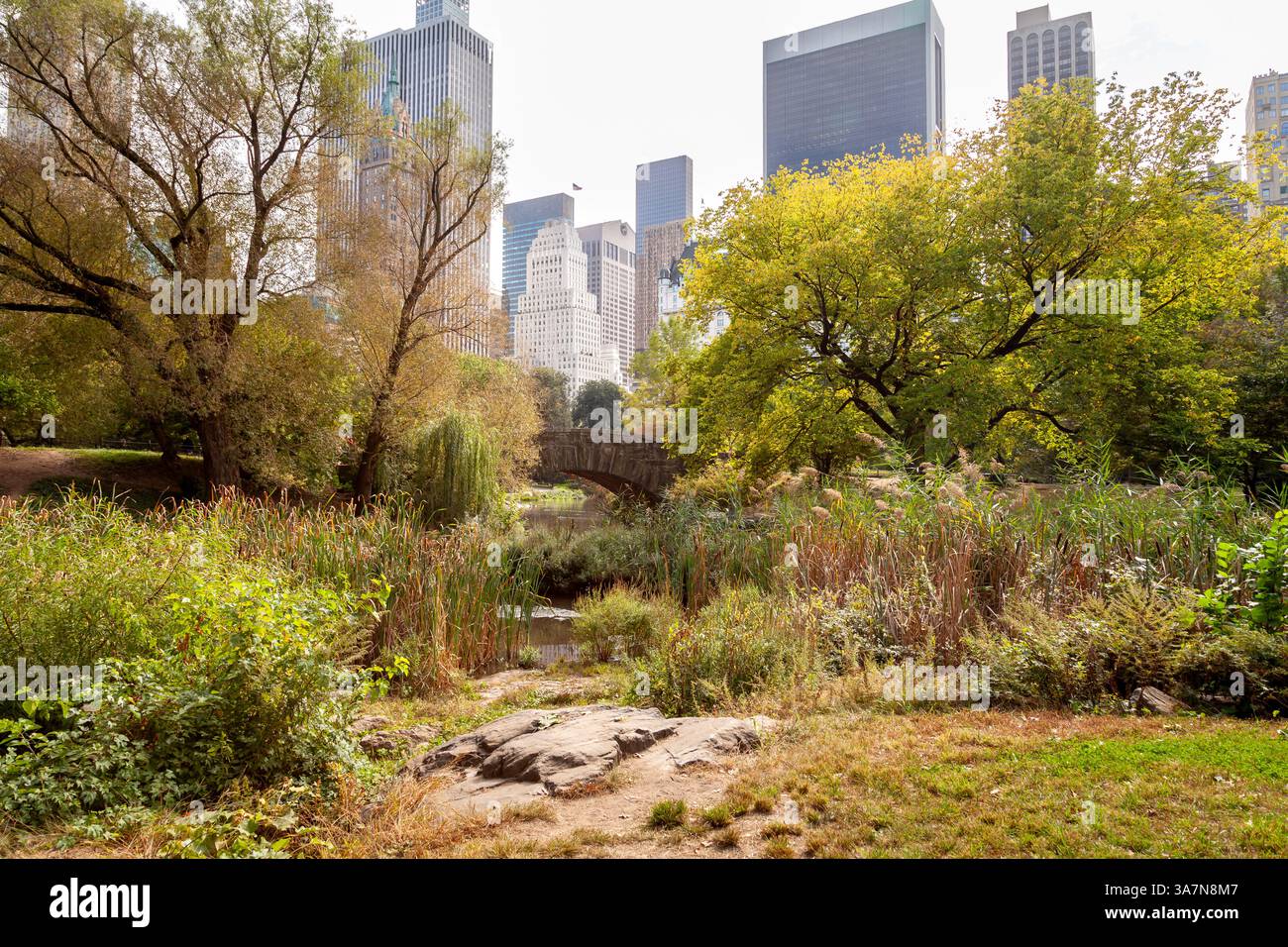Golden autumn leaves frame the iconic Gapstow Bridge in Central Park ...
