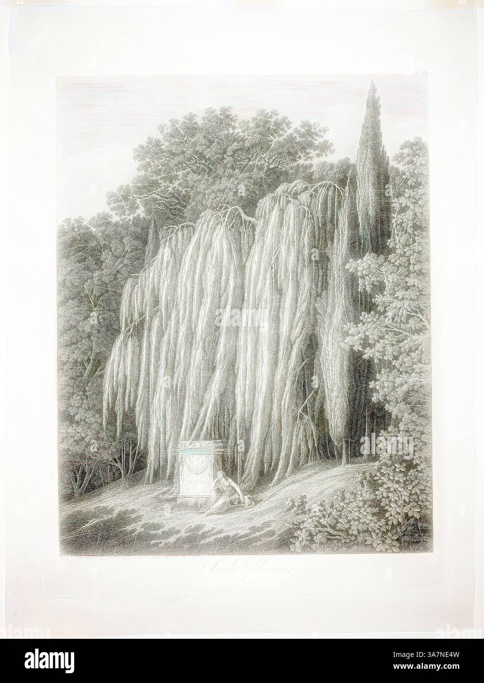 A serene scene featuring a grand, weeping willow tree surrounded by ...
