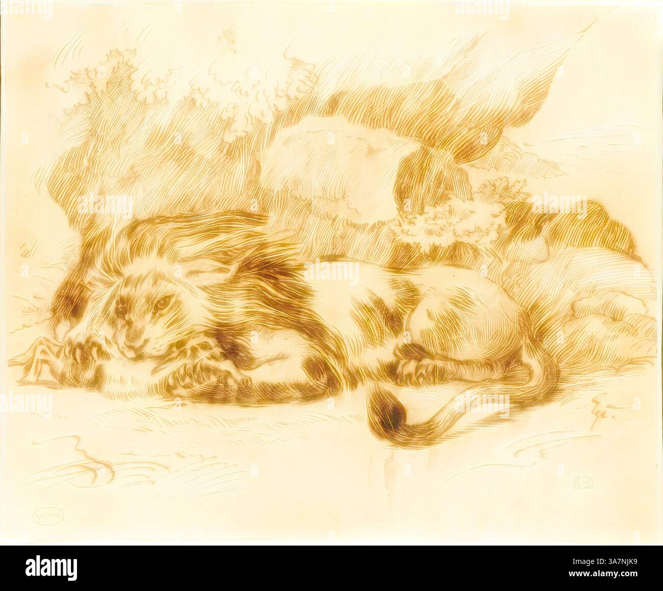 A majestic lion rests on a rocky surface, its powerful frame depicted ...