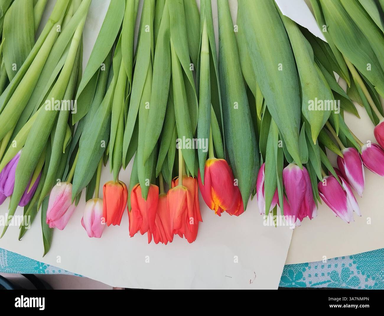 Preparing flowers for sale upper angle. Flower background Stock Photo ...