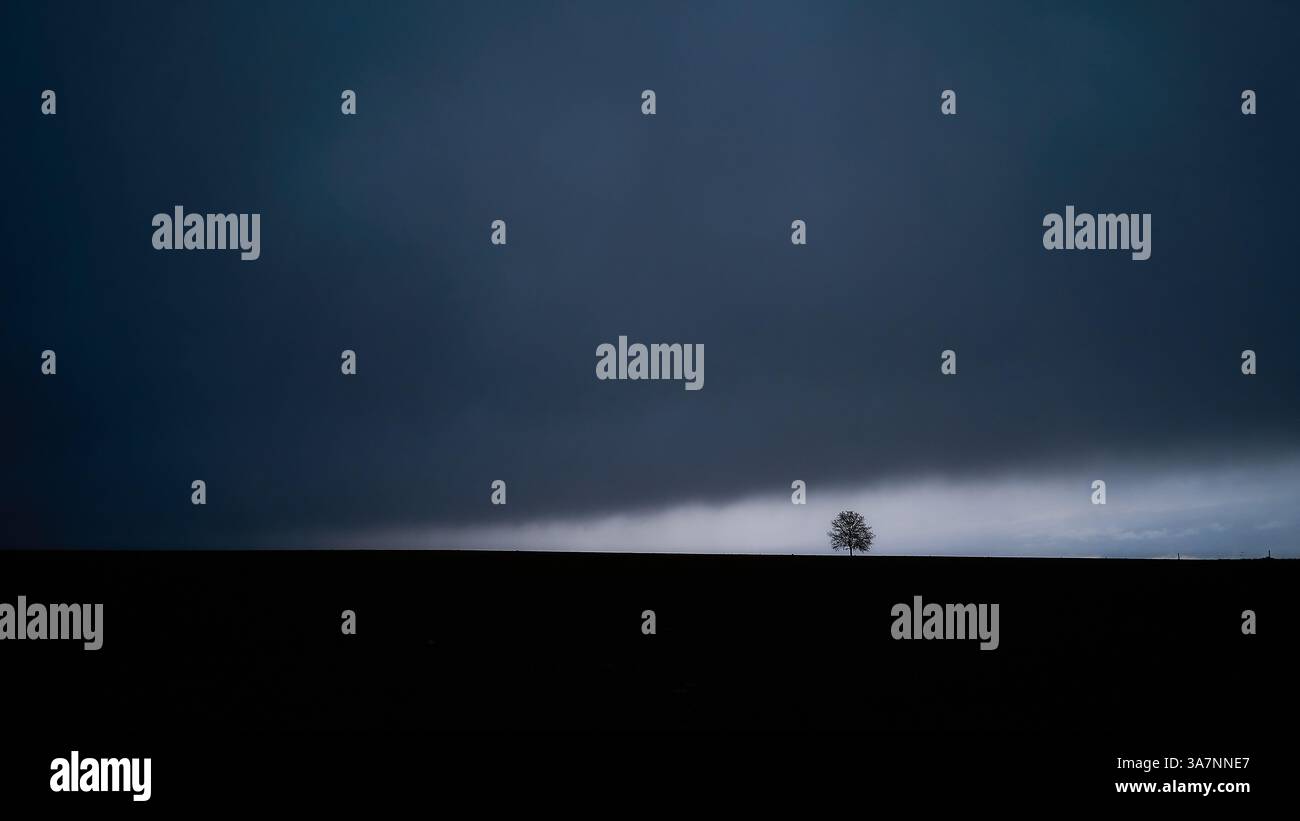 Lone tree silhouetted against a dramatic sky. The stark contrast evokes ...