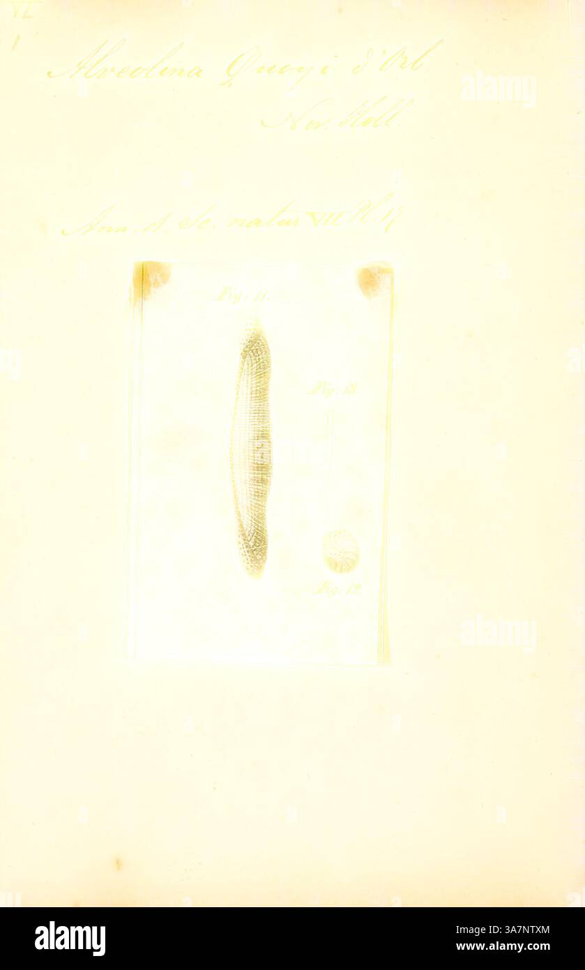 An illustration showcasing a long, elongated shape accompanied by a ...