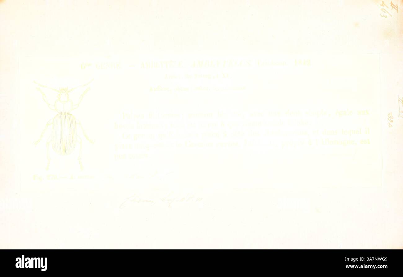 An illustration showcasing a detailed diagram of a beetle, accompanied ...