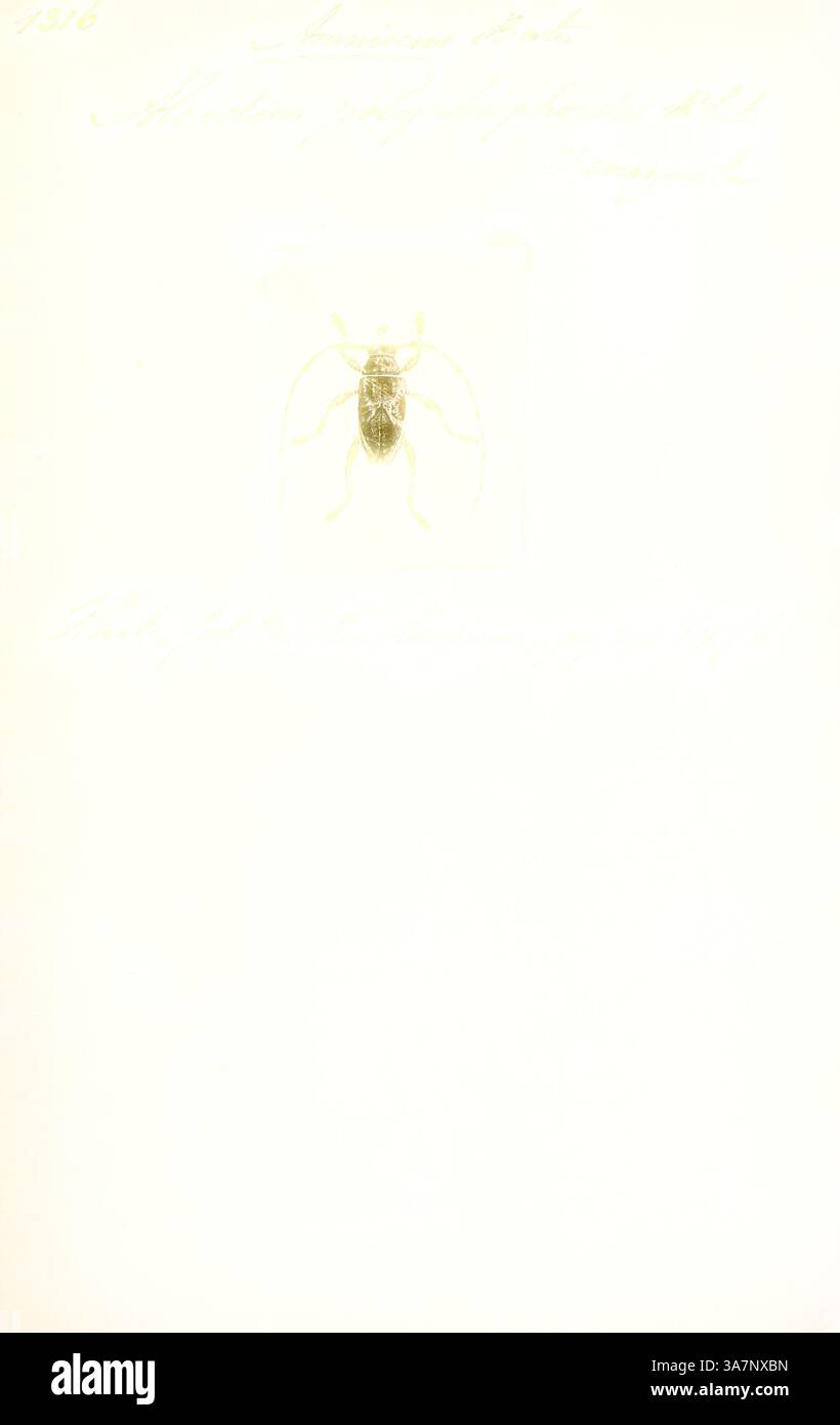 An illustration featuring a detailed depiction of an insect, labeled ...