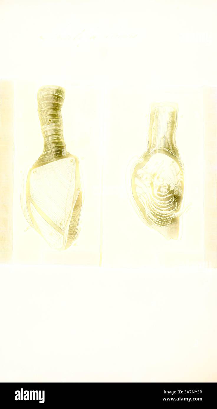 Two intricately designed objects resembling shells or sculptures, each ...