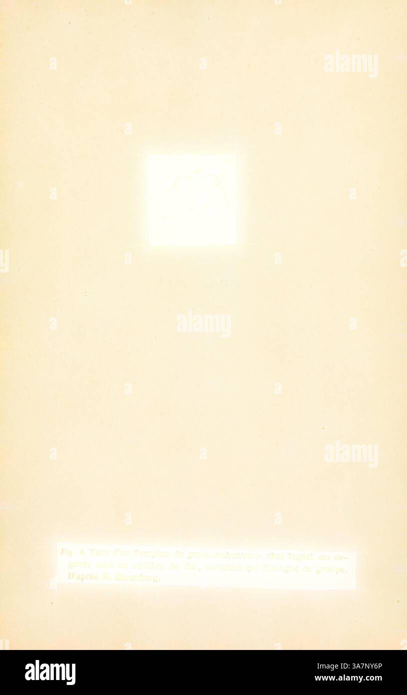 Faint light source amidst hi-res stock photography and images - Alamy