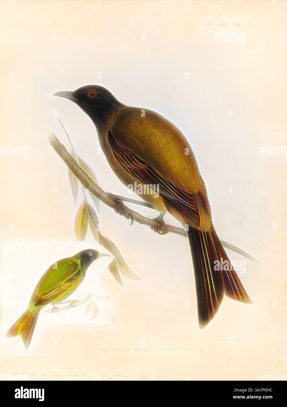 A beautifully detailed depiction of a bird perched on a branch ...