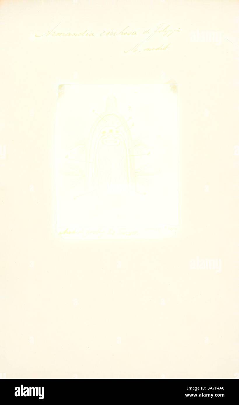 A delicate illustration features a stylized figure outlined in soft ...